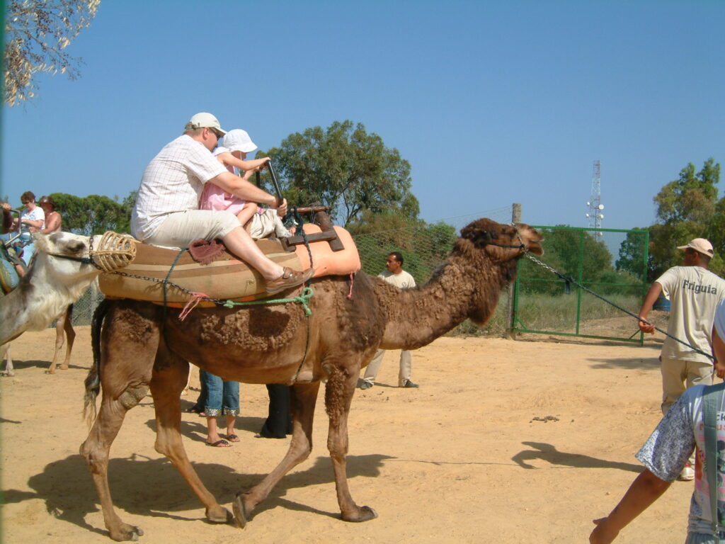Friguia Park – Tunis Zoo - Harry's Photo Travel Guide